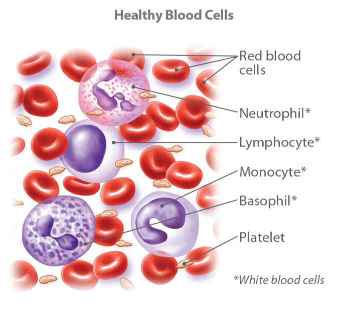 What is Blood cancer? - MEDICINE FOR WORLD